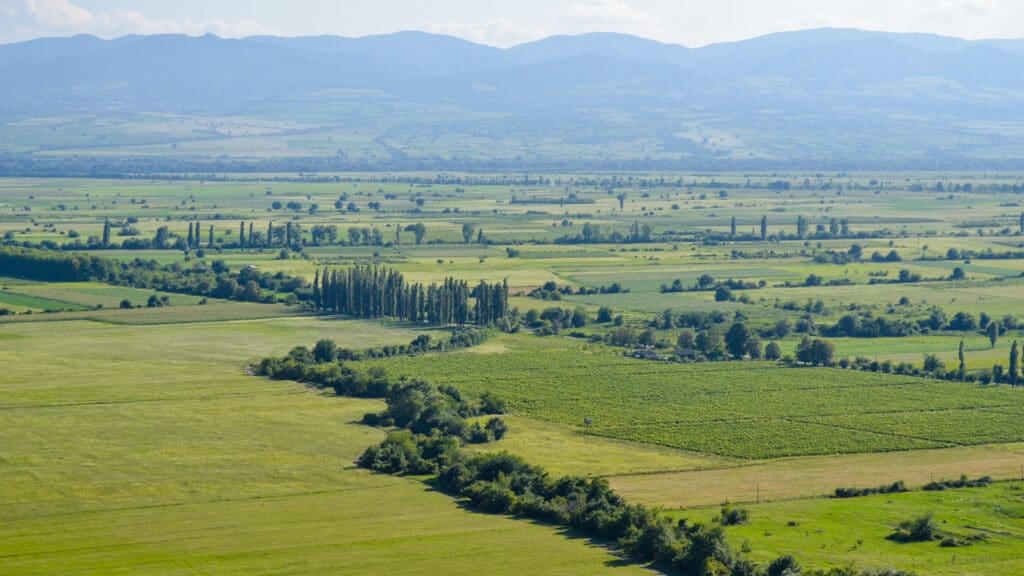 Maximize Land Value in Atlanta | Sawgrass Land Acquisition and Development